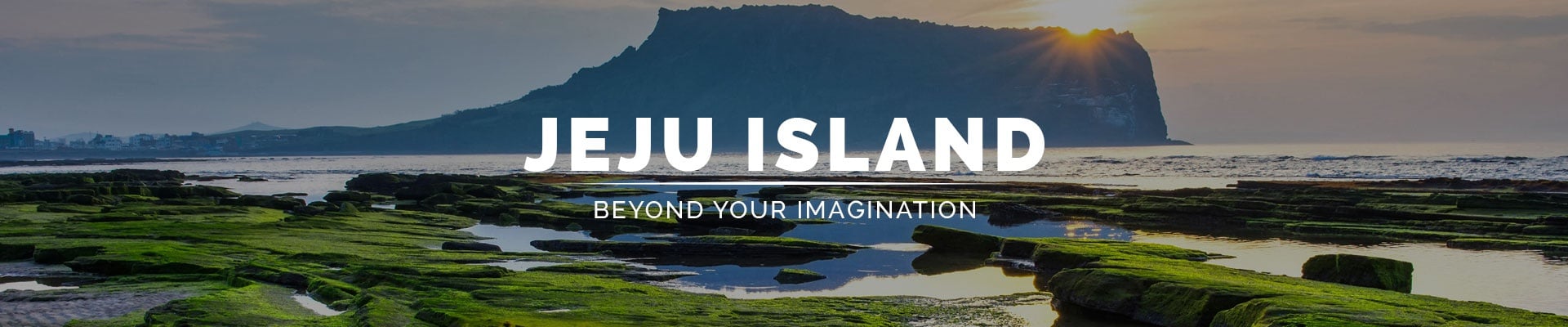 Explore Muslim-friendly Jeju | Halal Trip