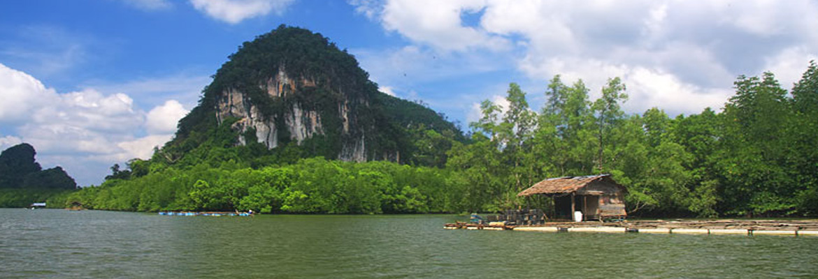 Ao Luk Mangrove Caves , Krabi-town | Halal Trip