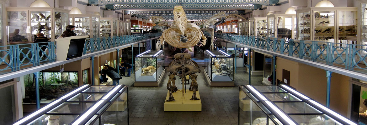 Natural History Museum Of Lille , Lille | Halal Trip