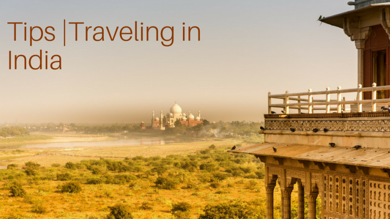 8 Things to Expect When Traveling to India [Travel Destination]