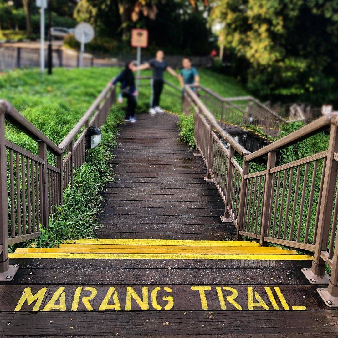 Southern Ridges: Walking the Green Hills to the Henderson Waves