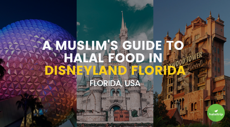a-muslim-s-guide-to-halal-food-in-disneyland-florida