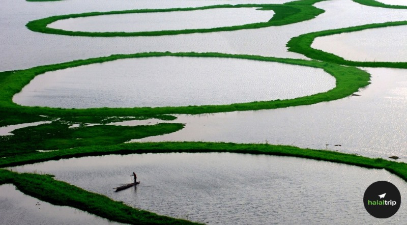 5 Unusual Things to Do in India